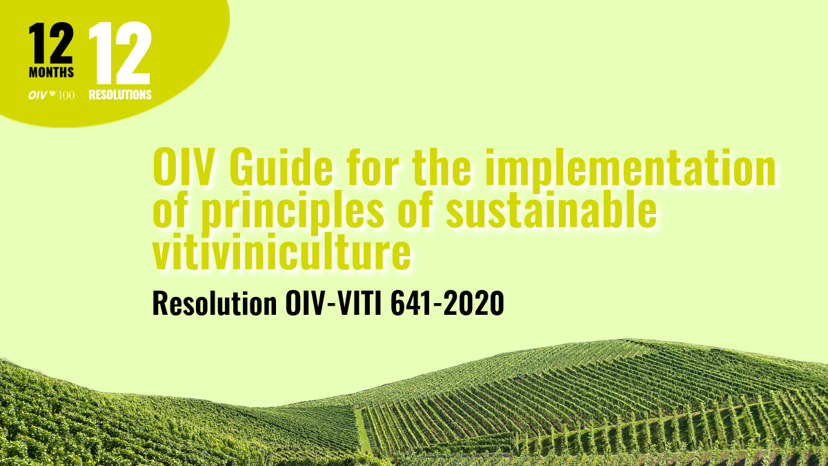 12 Monate, 12 Resolutionen: Leitfaden der OIV für die Anwendung der Grundsätze des nachhaltigen ...